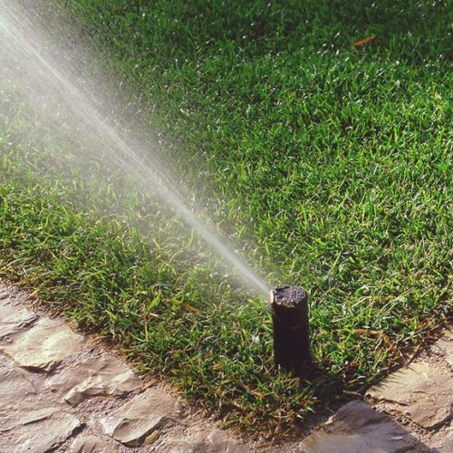 Sprinkler System for Spring | Circle D Construction